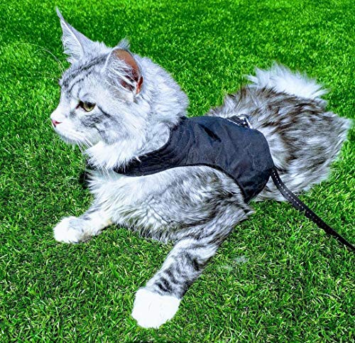 5 Best Cat Harnesses for No Escape (2019) - Reviews & Buyer’s Guide